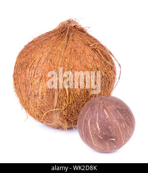 Big brown ripe coconut Isolated. Studio Photo Stock Photo - Alamy