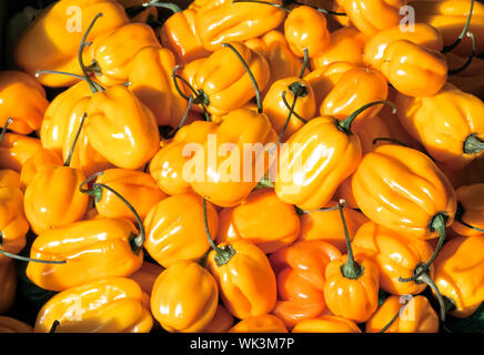 An image of a nice yellow peperoni background Stock Photo - Alamy