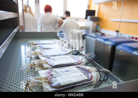 Blood bags in a hematological laboratory Stock Photo - Alamy