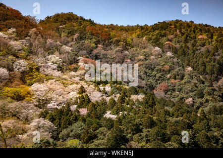 View on japanese countryside with forested hills on background Stock ...