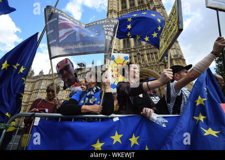 Brexit Protesters outside Houses of Parliament on 22 October 2019, in ...