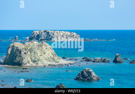 A few small islands on the island of Tabarca (Alicante) Spain Stock ...