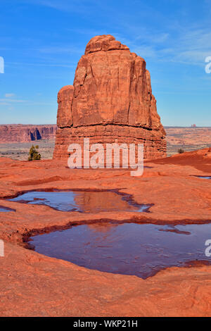 Red sandstone reflected in any icy pothole filled with snowmelt in the ...