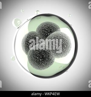 A micro cell division process illustration Stock Photo - Alamy