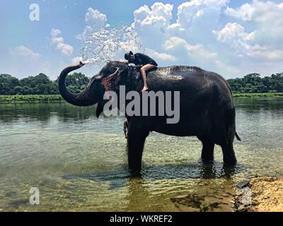 Woman sitting on trunk of elephant at The Elephant Show, Maetaman Stock ...