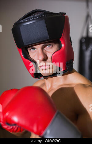 Male boxer in a defensive stance isolated against white background ...