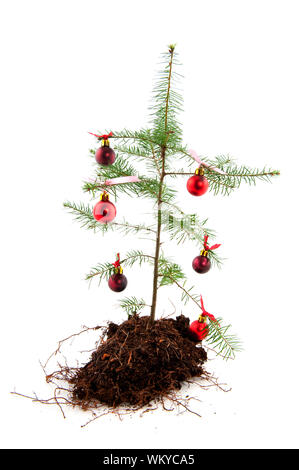 Christmas recession with a poor nature tree Stock Photo - Alamy