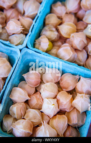 Local Cape Gooseberry,Ground cherries,Inca berry, Golden strawberry ...