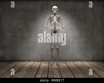 Full skeleton staring on a room Stock Photo - Alamy