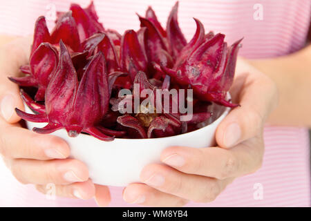 fresh roselle flower Stock Photo - Alamy