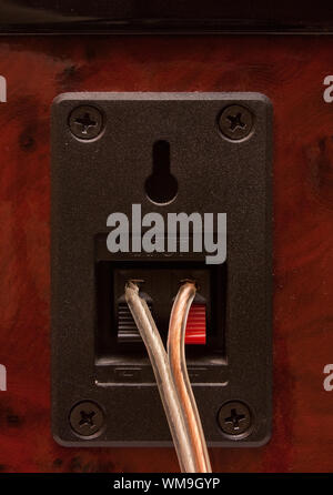 Cuprum audio cables connected to the back of speaker Stock Photo - Alamy