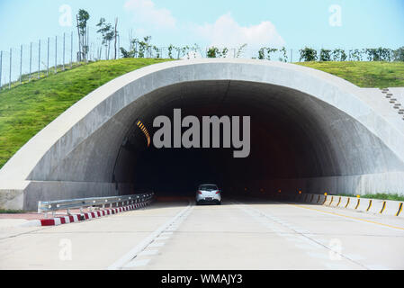 Wildlife bridge / animals overpass / wildlife crossing / ecoduct over ...