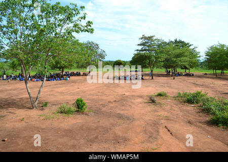 Group of children studying under a tree in a rural school Stock Photo ...