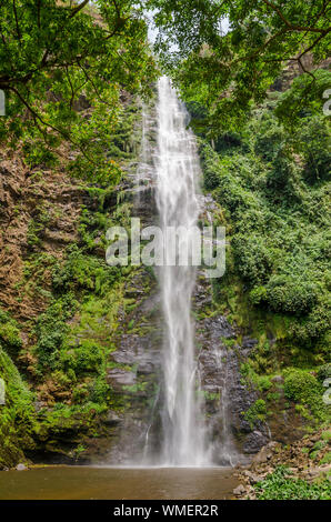 Africa, West Africa, Ghana, Wli Falls. Wli Waterfalls in the middle of ...