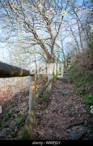 trail Rurberg Obersee, Eifel National Park, North Rhine-Westphalia ...