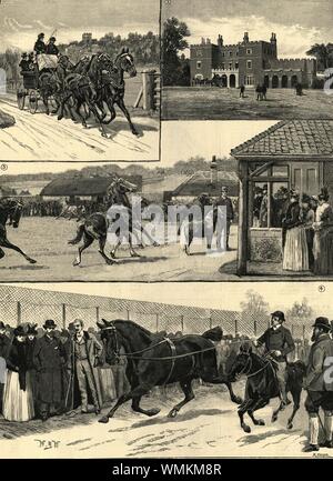 Arrival of his Royal Highness, the Prince of Wales, at Kingstown Harbor ...