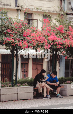 scenery and tourist attractions in Taipa Village in Macau, China Stock ...