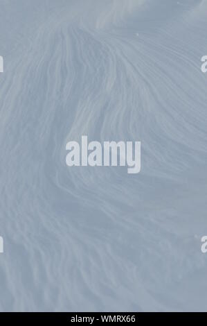 Streaks of snow. Snowflakes on the ice. Winter and frost. ice sheet ...