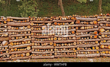 The trunks of felled trees neatly stacked in a stack. Logs smooth and ...