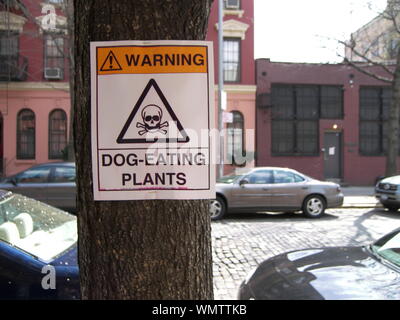 Warning sign on tree trunk alerting people to danger of branches of ...