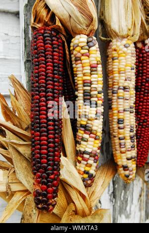 Multicolored popcorn close-up. Colorful beautiful sweet dessert Stock ...