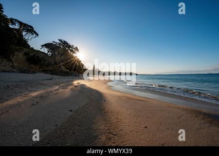 Sunbeams shine through trees on the sandy beach, evening light, Langs ...