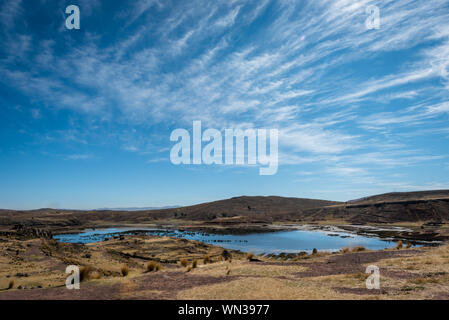 The wetlands of Peru Stock Photo - Alamy