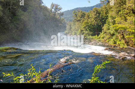 Waterfall La Leona of Fuy river, cascade 10 meters high, in the Huilo ...