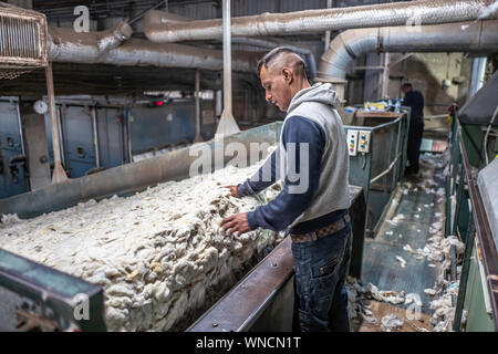 Wool Scouring Plant Stock Photo - Alamy