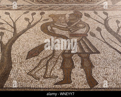 Low Ham Roman Mosaic, Dido and Aeneas, photographed in Somerset County ...