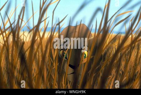 The Lion King Year : 1994 USA Director : Roger Allers Rob Minkoff ...