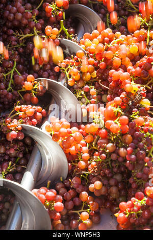 Grape crushing machine in a winery Stock Photo - Alamy