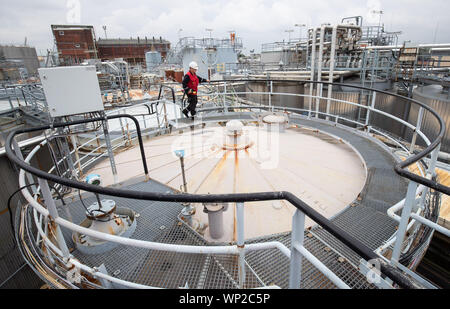 Hamburg, Germany. 13th Aug, 2019. Alexander Struck, head of the Shell ...