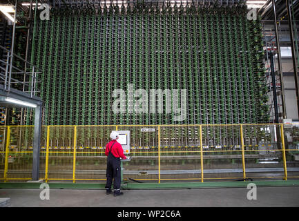 Hamburg, Germany. 13th Aug, 2019. Alexander Struck, head of the Shell ...