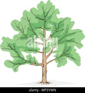 The simplified image of a crone of the big tree - vector drawing eps8 ...