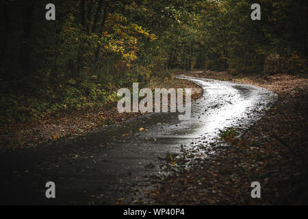 Autumn leaves in a muddy and wet Essex woodland Stock Photo - Alamy