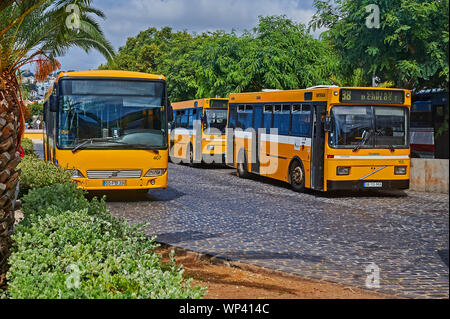 Buses in Funchal, Madeira Stock Photo - Alamy