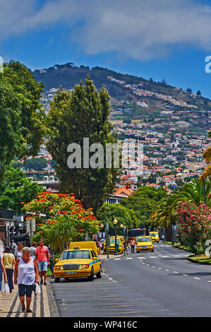 Funchal, Madeira and iconic yellow buses are waiting in the bus depot ...