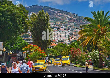 Funchal, Madeira and iconic yellow buses are waiting in the bus depot ...