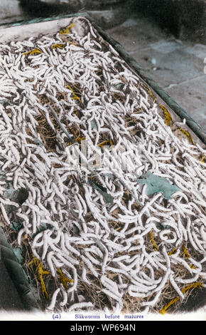 A traditional japanese bed, Japan. Old 19th century engraved ...