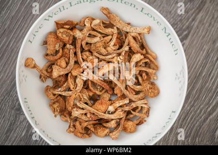 Stack of Dry mushroom Stock Photo - Alamy