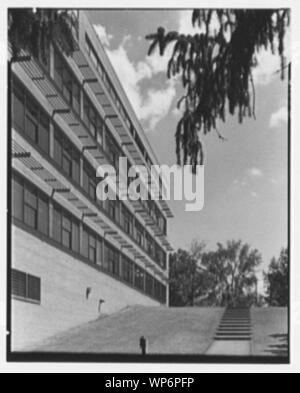 Laboratory of Nuclear Studies, Cornell University, Ithaca, New York ...