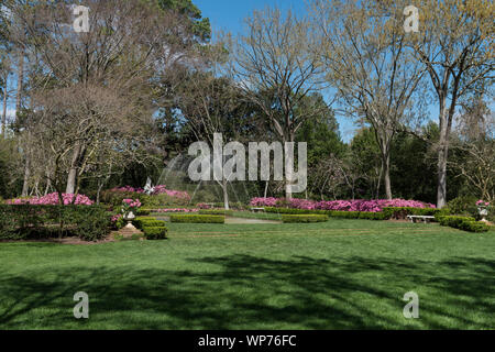Late-winter garden at the Bayou Bend Collection and Gardens in the ...