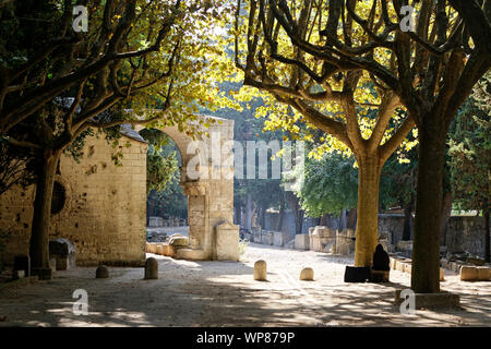 The Alyscamps, a large Roman necropolis in Arles, France Stock Photo ...