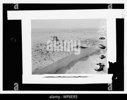 Locust plague, the wall Stock Photo - Alamy