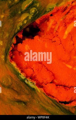 Strong colors in this thermal ecosystem of algae, colonies of ...