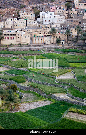 Balad Sayt Village near Jebel Shams, Oman Stock Photo - Alamy