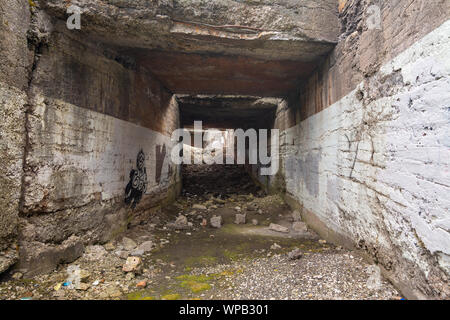 Ruins of old factory. Joliet Iron Works Park, Illinois, USA Stock Photo ...