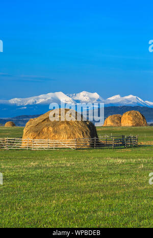 haystacks below the flint creek range near avon, montana Stock Photo ...