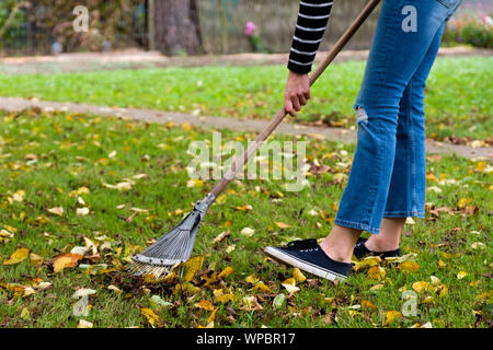 Farmer woman gathering fallen leaves with a rake, spring cleaning in ...